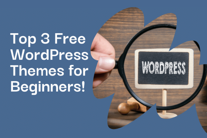 The 3 Best Free WP Themes for Beginners (Hint: they’re FREE!)