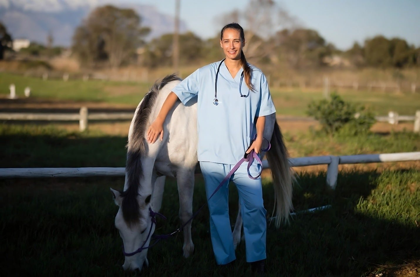 15 Horse Jobs That Feed Your Soul and Your Bank Account
